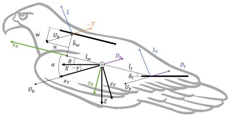Simplified Model For Forward Flight Transitions Of A Bio Inspired