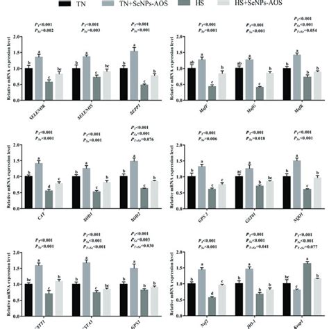 Effects Of Dietary Biogenic Selenium Nanoparticles Synthesized By