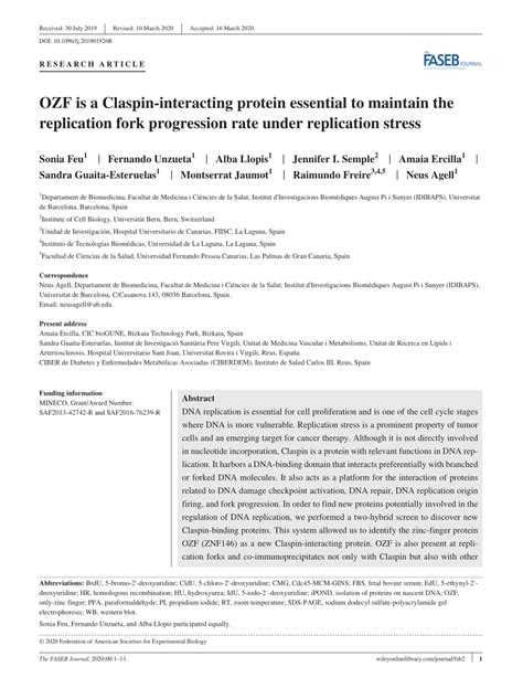 Pdf Ozf Is A Claspin Interacting Protein Essential To Maintain The Replication Fork