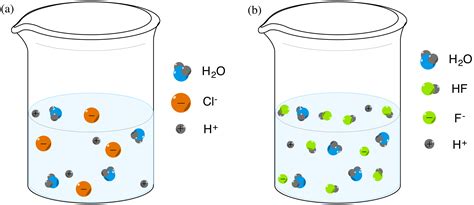 Ions Aqueous Solution Infographic Diagram Showing