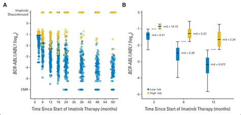 Evolution Of The Transcript Level According To The 3 6 And 12 Month Download Scientific