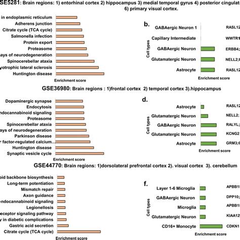 Gene Expression Data Analysis Of Gse5281 Gse36980 And Gse44770 Geo Download Scientific