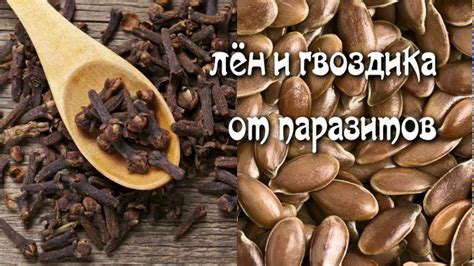 Как очистить организм от паразитов в домашних условиях Youtube