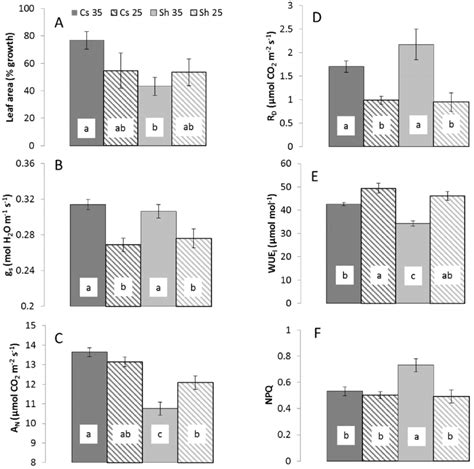 Leaf Area Growth As A Percent Of The Leaf Area In Day 1 A Stomata Download Scientific Diagram