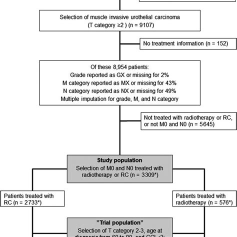 Flowchart That Describes The Selection Of Patients For The Study From
