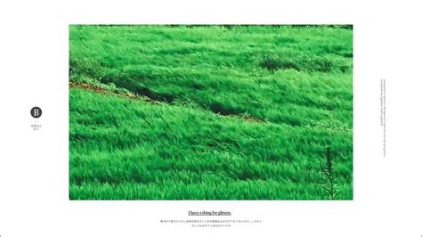 꿈꾸는별장 강화 드림포터 힐링스냅 And Vlog 드림포터 꿈꾸는별장 세컨하우스 소형별장 강화세컨홈 전원생활 힐링라이프 오션뷰 5도2촌 Shorts