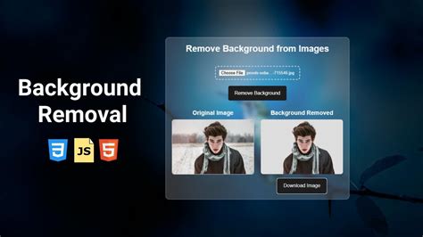 🖼️ create your own image background remover with html css and javascript
