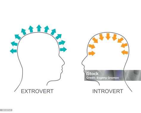 Introvert And Extrovert Comparison Human Heads With Arrow Different