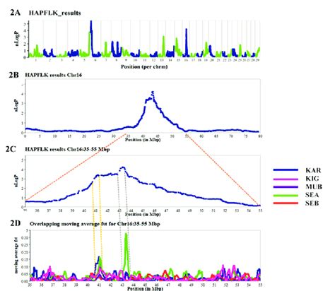 2│genome Wide Scan For Putative Signatures Of Selection Using Hapflk Download Scientific