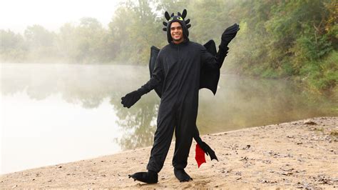 How To Train Your Dragon Adult Toothless Costume Movie Costumes