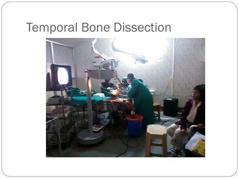 Ppt Temporal Bone Dissection Workshop Powerpoint Presentation Free Download Id 2496483