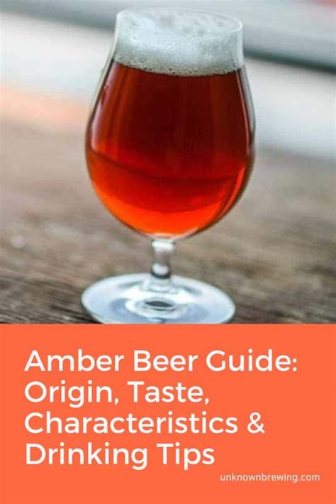 Amber Beer Guide Origin Taste Characteristics Drinking Tips