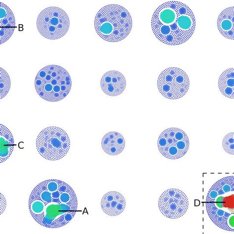 Most Common Cnvs And Complex A Cnv Regions Download Table