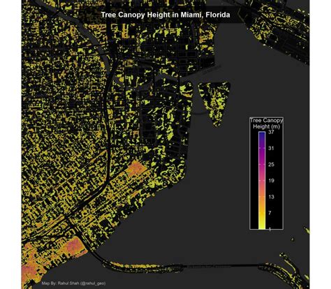 Rahul Shah On Linkedin 30daymapchallenge Gis Rstat Mapping Lidar Miamimap Datascience