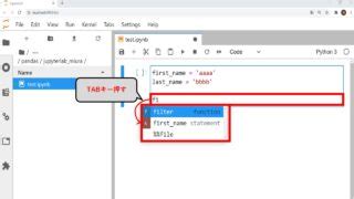 Python Jupyterlab Python