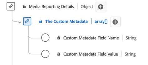 Custom Metadata Details Reporting Data Type Adobe Experience Platform