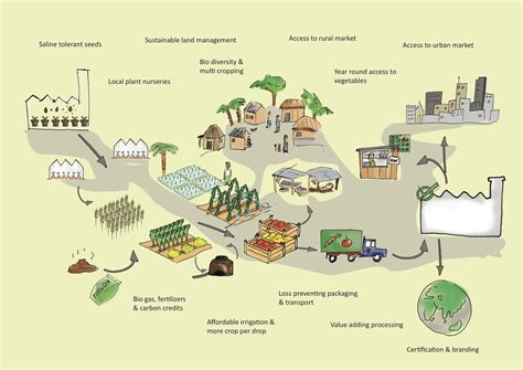 Horticulture Value Chain Bangladesh Sustainable Matchsustainable Match