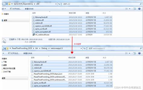 C Net Core Netcore Csdn