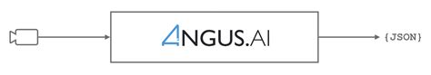 Angusai Documentation — Angusai Documentation