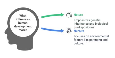 Developmental Psychology Essential Concepts For Reading Comprehension