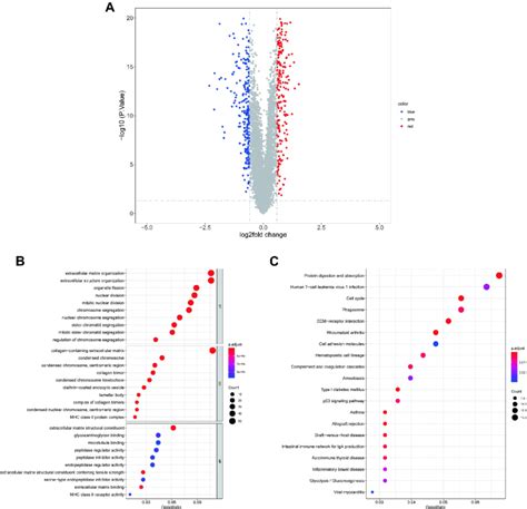 Go Annotation And Kegg Pathway Enrichment Analysis Of Risk