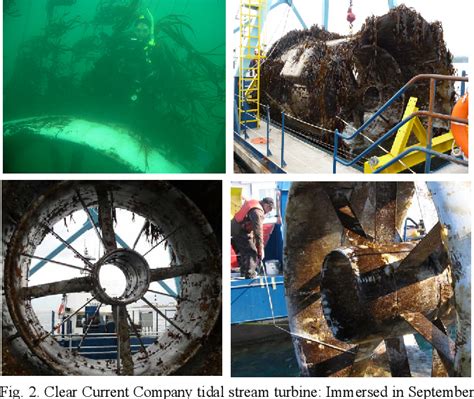 Figure 2 From Mapping A Machine Learning Path Forward For Tidal Stream Turbines Biofouling