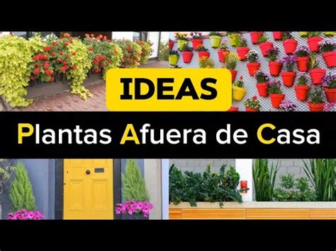 Ideas Con Plantas Para Decorar Afuera De Casa Youtube