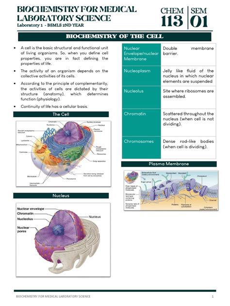 Chem 113 Week 1 Lab Cell Pdf Cell Membrane Cell Biology