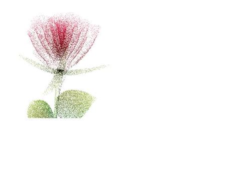 Html5 Svg手绘玫瑰花动画特效