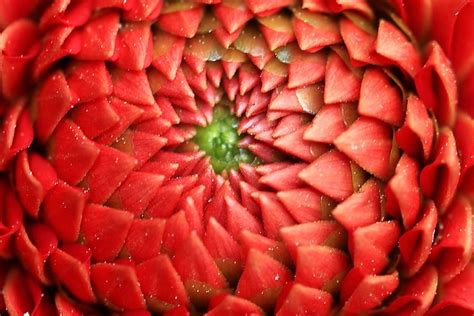 tessellation patterns spacemakeplace