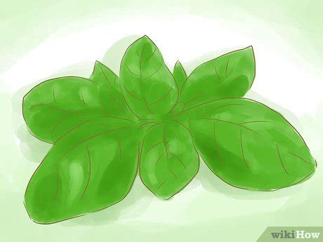 7 Ways To Control Asthma Without Medicine WikiHow Health