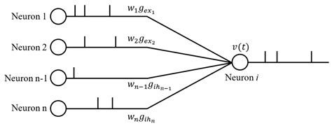 Applied Sciences Free Full Text Image Interpolation Based On Spiking Neural Network Model