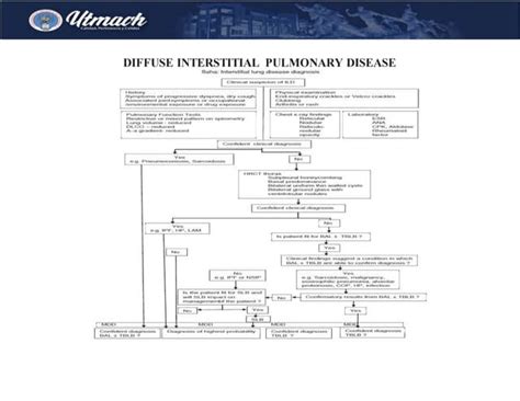 diffuse interstitial pulmonary disease algorithm docx
