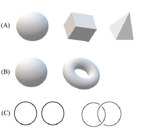 Figure From An Algorithm Based On Topological Data Analysis For Solving Unsupervised Machine