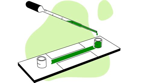 The Best Yeast Cell Counting Kit