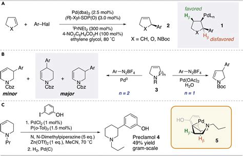 Synthesis Of 3 Substituted Pyrrolidines Via Palladium Catalyzed