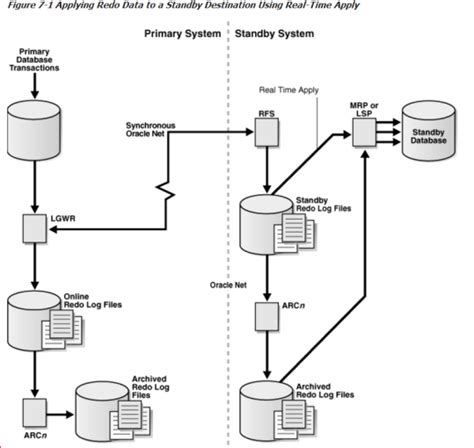 Oracle Adg 与 Dg 的区别 Csdn博客