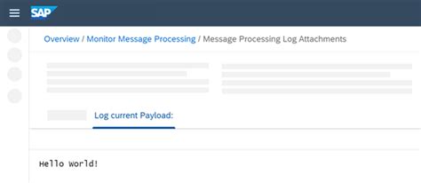 SAP Help Portal SAP Online Help
