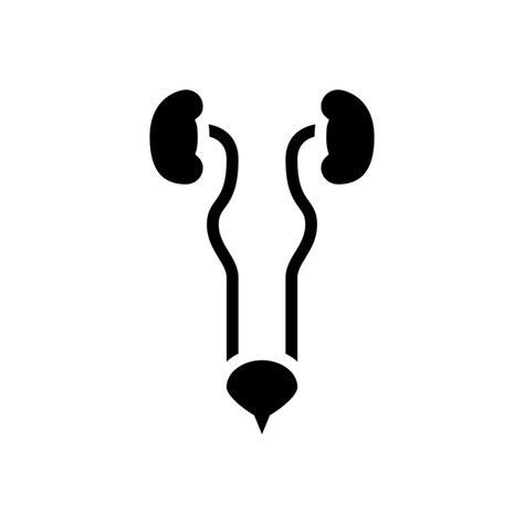 Urinary System Glyph Icon Vector Illustration 10310314 Vector Art At