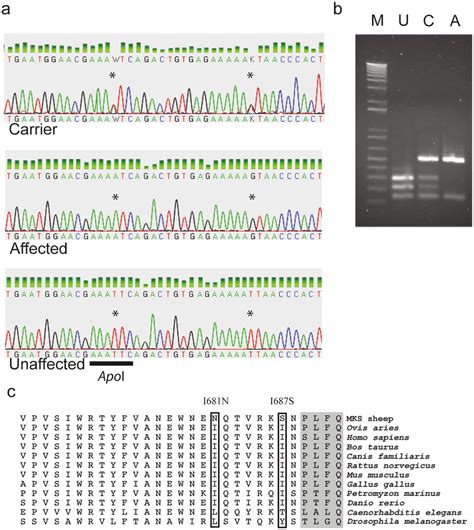 Identification Of Two Missense Mutations In Tmem67 A Sequence Download Scientific Diagram
