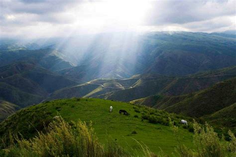 Hallaron una especie en peligro de extinción en Catamarca