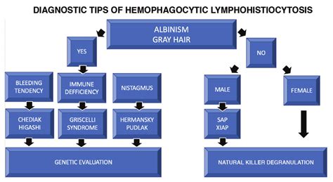 Clinical Clues For Differential Diagnosis Of Hemophagocytic