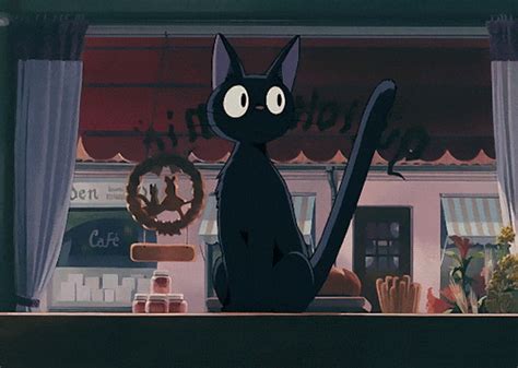 더쿠 잘 아는 고양인데 이름이 기억나질 않아