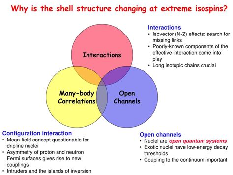 PPT Structure Of Exotic Nuclei Witold Nazarewicz Tennessee International Babe Of Nuclear