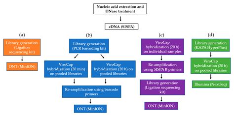 Viruses Free Full Text Assessment Of Viral Targeted Sequence