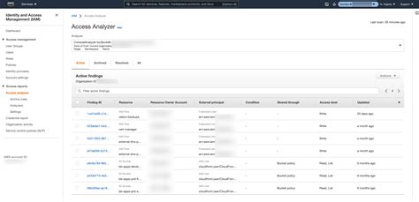Iam Access Anayzer Binbash Leverage™