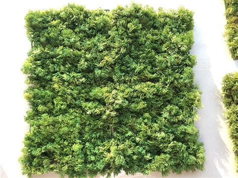 2021 New Design Artificial Moss Sharetrade