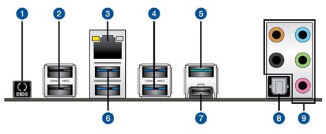 Rear Panel Connectors