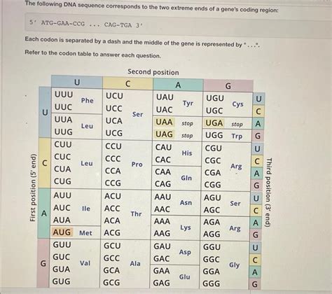 solved 5 atg gaa ccg cag tga 3 each codon is
