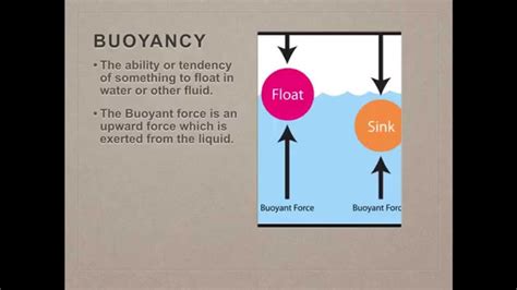 Science Buoyancy Floating And Sinking Density Youtube